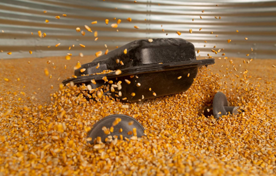 'No Boots in the Grain': How to Prevent Grain Bin Entrapment and ...